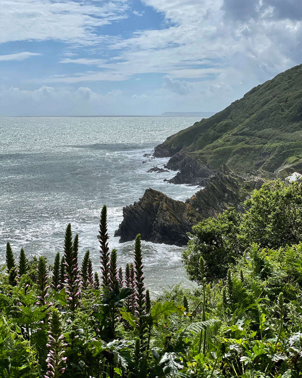 Go On A Road Trip – Monoware